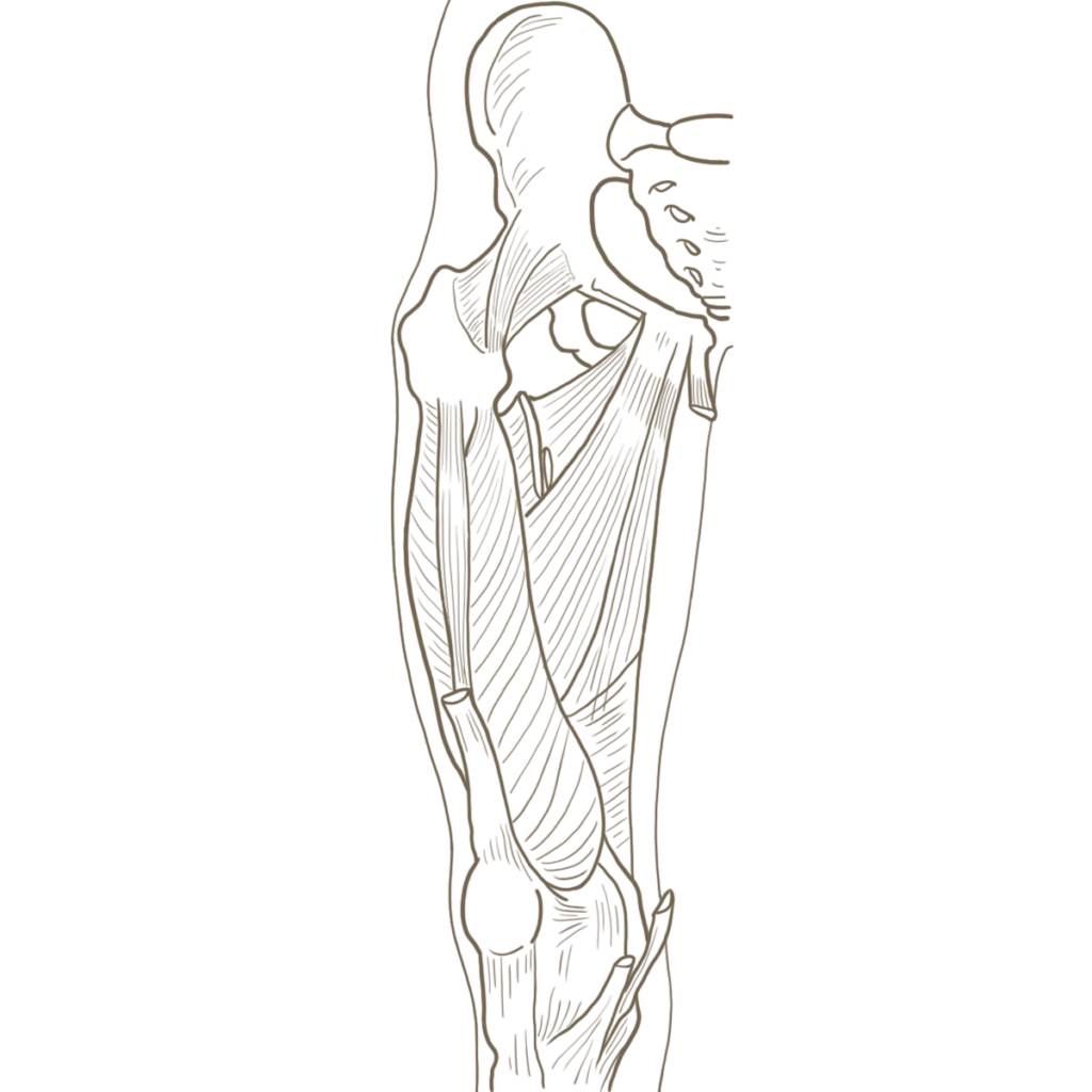 recover と restore の違い | TRIATHLETE ENGINEER